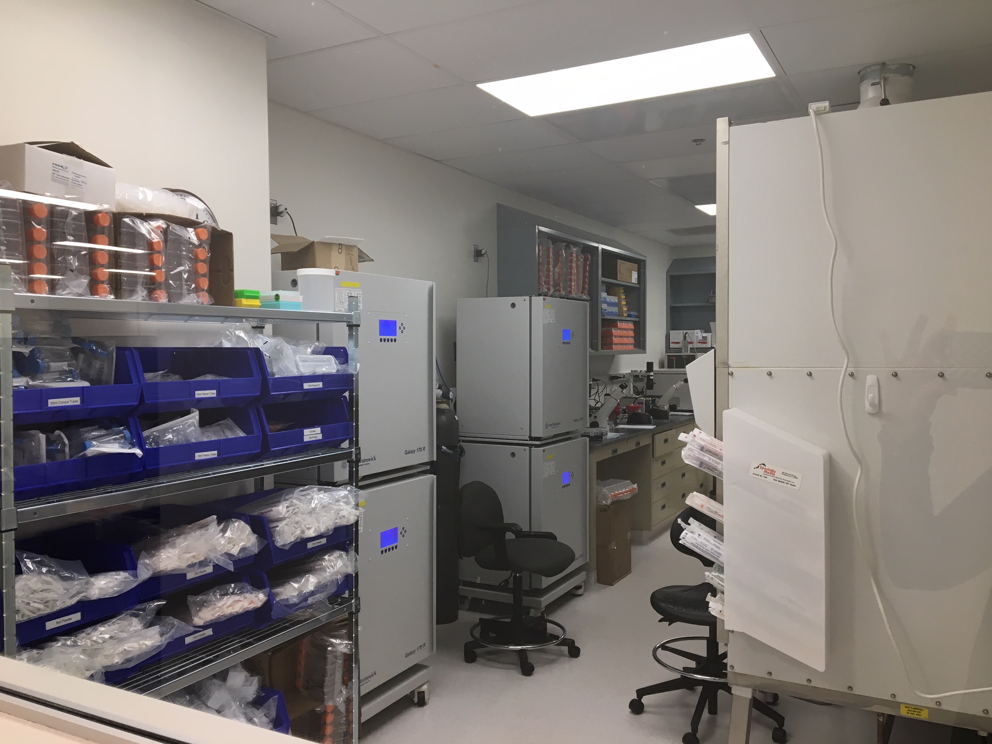 Cervivor visits Advaxis - Cervivor