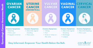 Breaking the Stigma on Gynecologic Cancers: Awareness Starts Here ...